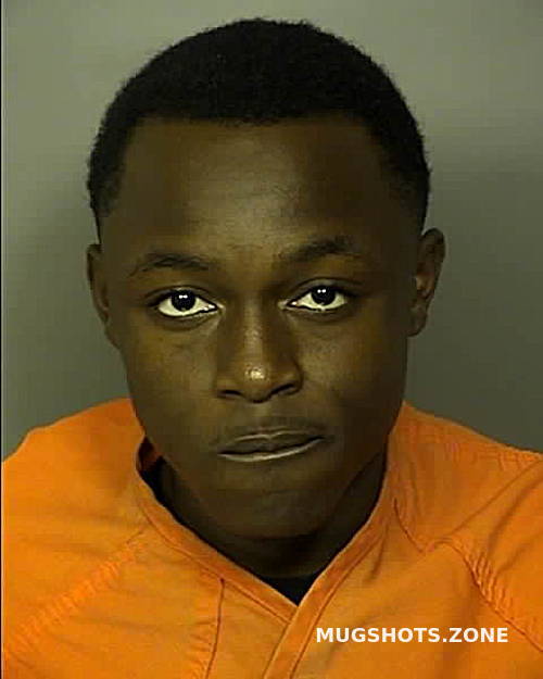 JORDAN JOHNNIE WAYNE 06/10/2024 - Horry County Mugshots Zone