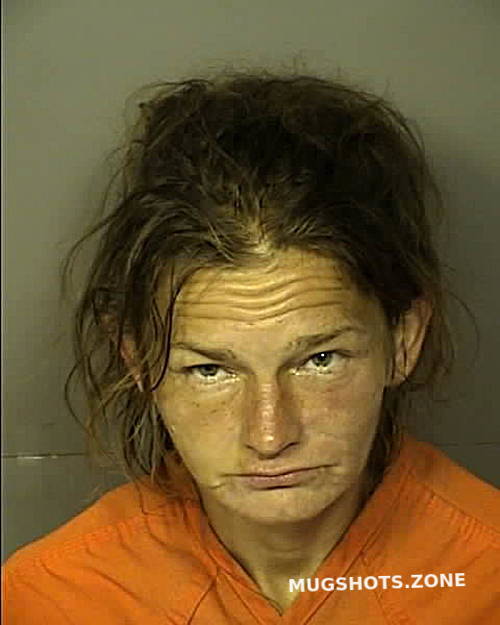 LOCKLEAR CHRISTINA DIANE 06/10/2024 - Horry County Mugshots Zone