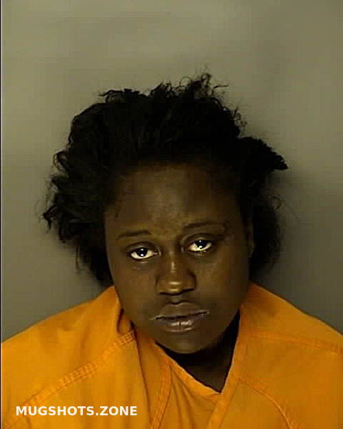 JOHNSON LATISHA TAQUANA 06/13/2024 - Horry County Mugshots Zone