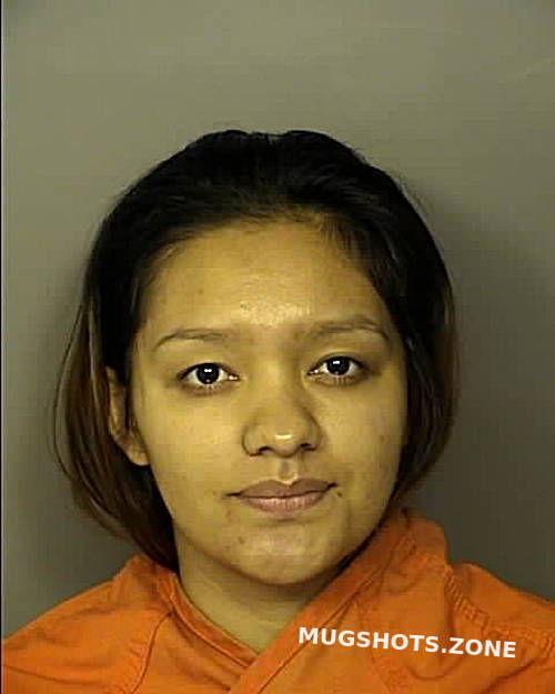 ALVARENGA-CRUZ AMINI MERARY 06/14/2024 - Horry County Mugshots Zone