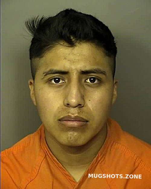 PEREZ MIGUEL ANGULO 06/17/2024 - Horry County Mugshots Zone