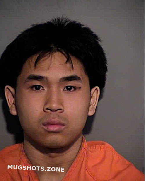 DANG JACOB KING 06/17/2024 - Horry County Mugshots Zone