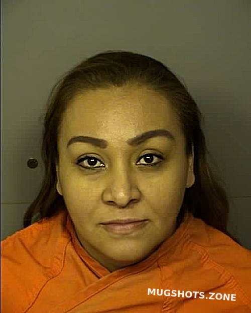 ROJAS-AMAYA CAROLINA 06/19/2024 - Horry County Mugshots Zone