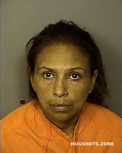 FERNANDEZ SHEILA SIERRA 06/22/2024 - Horry County Mugshots Zone