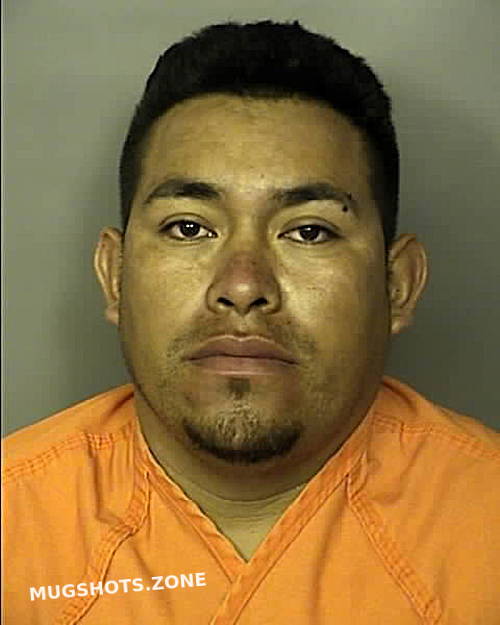 CORREA ALEJANDRO VEGA 06/22/2024 - Horry County Mugshots Zone