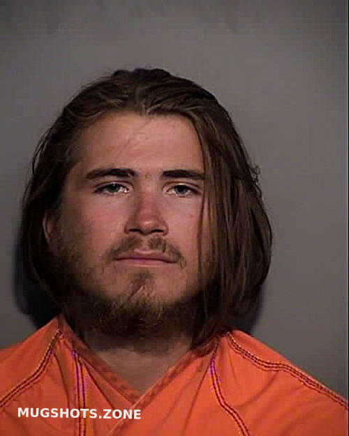 Cericov Marin 06 26 2024 Horry County Mugshots Zone