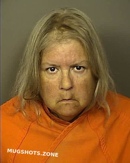 SHAPIRO RANDI 06/27/2024 - Horry County Mugshots Zone