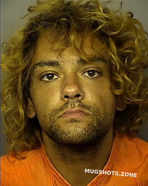 HARRIS DYLAN FRANK 06/29/2024 - Horry County Mugshots Zone