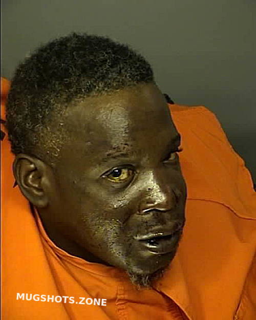 RIGGINS MICKEY DWAYNE 06/29/2024 - Horry County Mugshots Zone