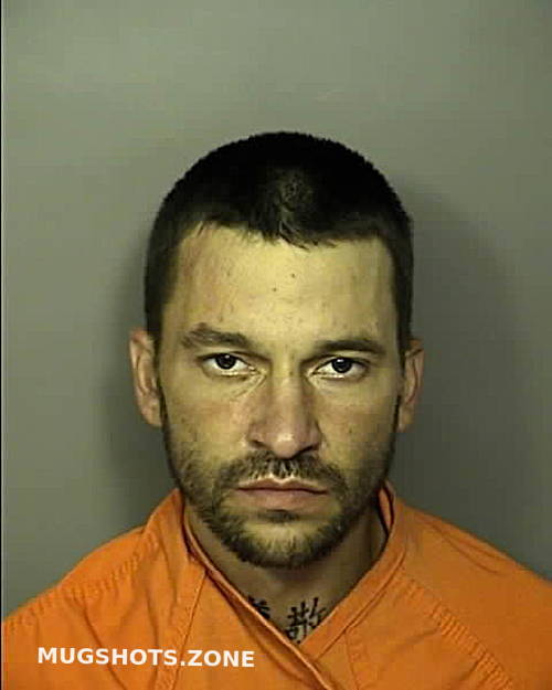 GEILENBERG JUSTIN RENNIE 06/30/2024 - Horry County Mugshots Zone