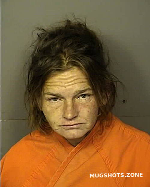 LOCKLEAR CHRISTINA DIANE 07/01/2024 - Horry County Mugshots Zone