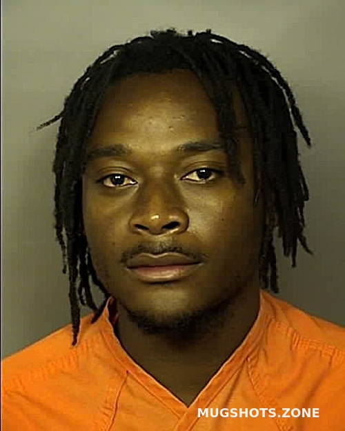 MCDANIEL GAVIN COLLINS 07/02/2024 - Horry County Mugshots Zone