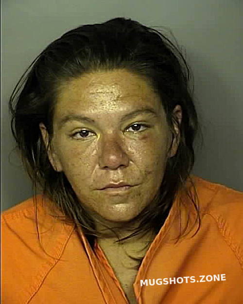 GARLOCK SHANNON MARIE 07/03/2024 - Horry County Mugshots Zone