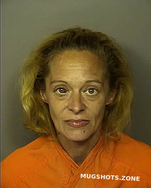 DARPINO ROBIN ANNETTE 07/07/2024 - Horry County Mugshots Zone