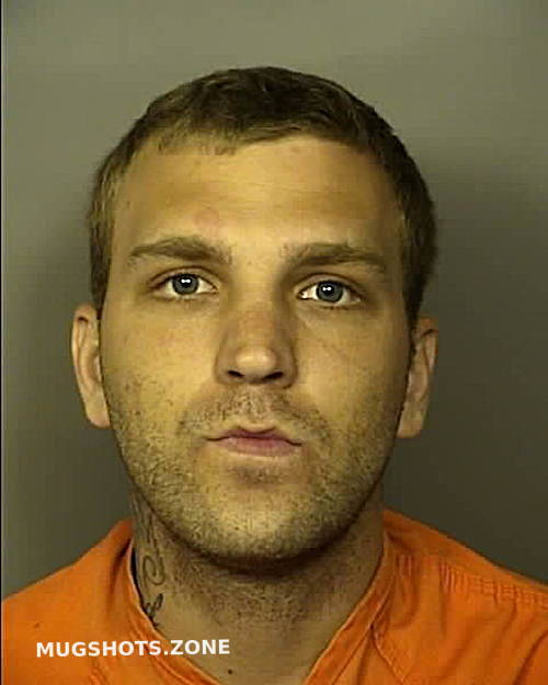 DAILING MACKENZIE LAWRENCE 07/08/2024 - Horry County Mugshots Zone