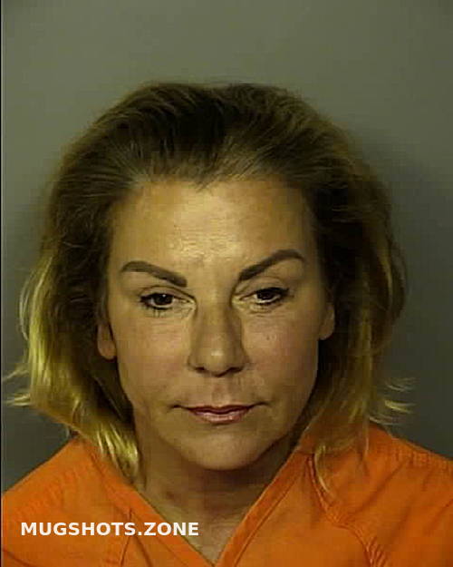 LACHERE TRACEY ANN 07/08/2024 - Horry County Mugshots Zone