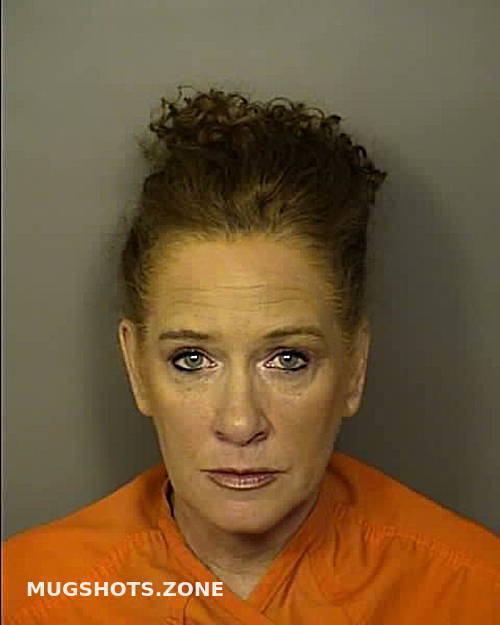 LAWLESS HEIDI MARIA 07/16/2024 - Horry County Mugshots Zone