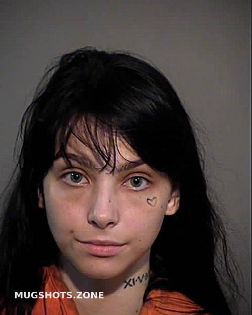 MEACHAM NATASHA CRICKETT 07/22/2024 - Horry County Mugshots Zone
