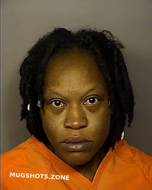 LEWIS BARBARA RENEE 07/23/2024 - Horry County Mugshots Zone