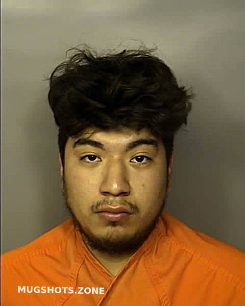 NAVA RAMOS KEVIN DAVID 07/24/2024 - Horry County Mugshots Zone