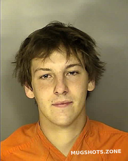 LAMB ASHTON TAYLOR 07/27/2024 - Horry County Mugshots Zone
