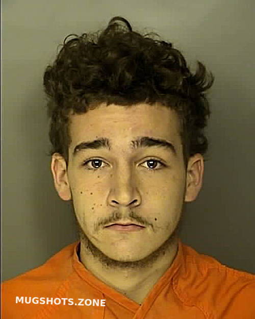 MEYERS GRAYSON COLT 07/28/2024 - Horry County Mugshots Zone