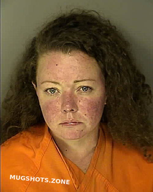 MILLER ASHLEY LYNN 07/28/2024 - Horry County Mugshots Zone
