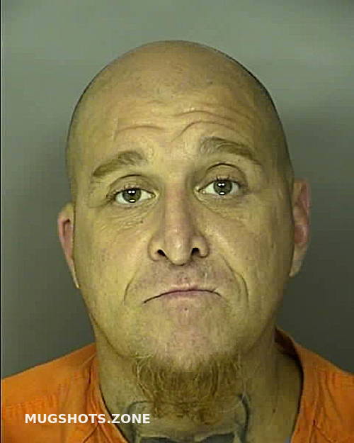 GOVERNALE FRANK AMADEA 08/01/2024 - Horry County Mugshots Zone