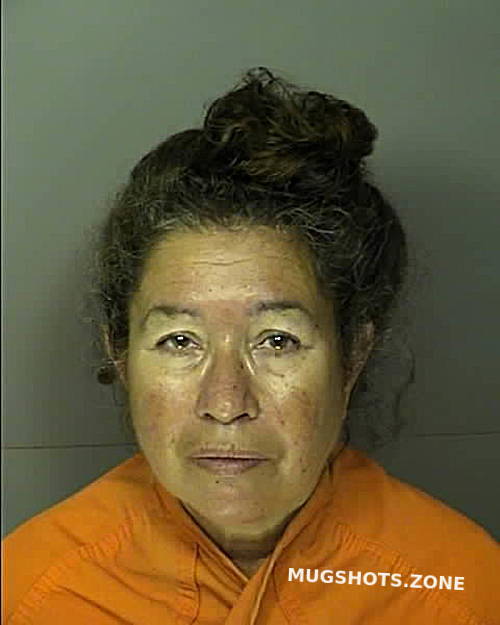 DEVANEY CHRISTINA MARIA 08/07/2024 - Horry County Mugshots Zone