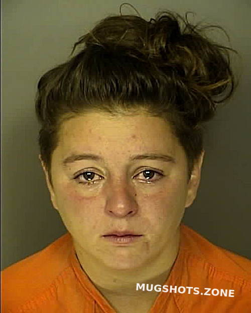 KING JENNA ELIZABETH 08/12/2024 - Horry County Mugshots Zone
