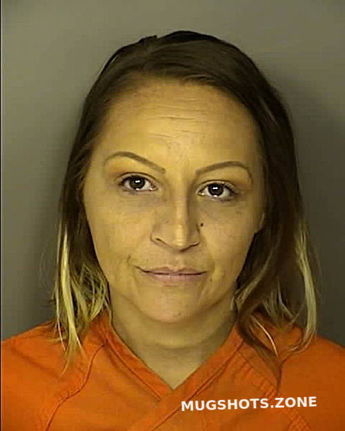 HOVEY MALLORY ROSE 08/13/2024 - Horry County Mugshots Zone