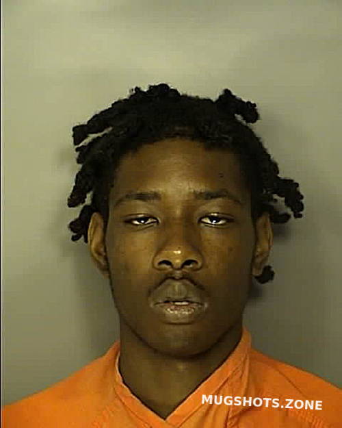 KNOWLES ELIJAH LIVINGSTON 08/13/2024 - Horry County Mugshots Zone