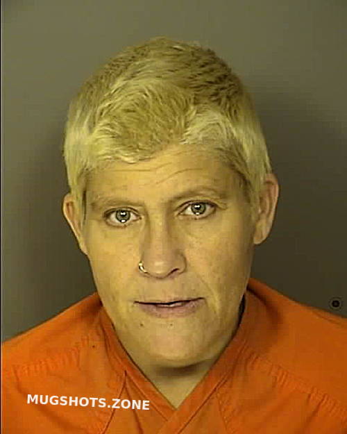 ENGLISH AMANDA SUGGS 08/16/2024 - Horry County Mugshots Zone