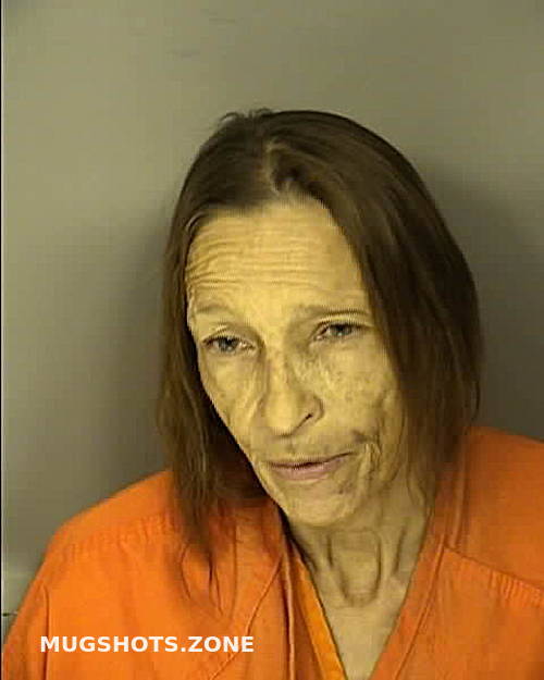 ELSTON AMY J. 08/17/2024 - Horry County Mugshots Zone