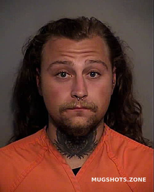 JAMISON DYLAN MICHAEL 08/17/2024 - Horry County Mugshots Zone