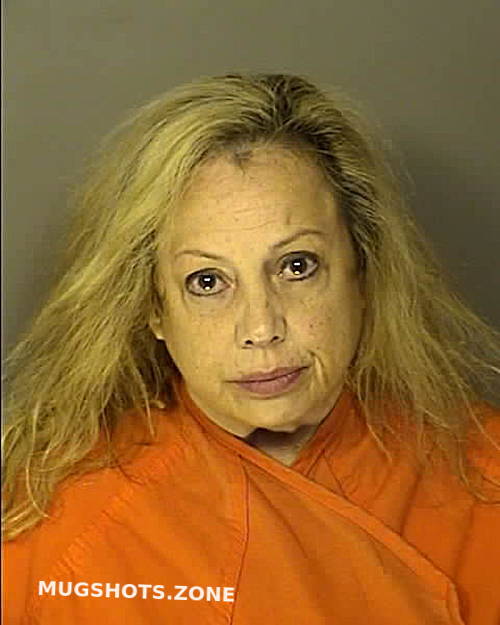 MENDEZ LORAINE JEANNE 08/19/2024 - Horry County Mugshots Zone MENDEZ LORAINE JEANNE 08/19/2024 - Horry County Mugshots Zone
