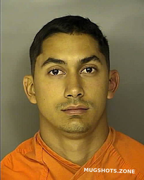 JORDAN RICHARD JACKSON 08/24/2024 - Horry County Mugshots Zone