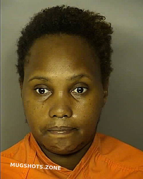 GONZALEZ JAMIE TAYLOR 08/25/2024 - Horry County Mugshots Zone