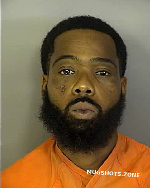 GREEN DASHAUN LAMONT 08/25/2024 - Horry County Mugshots Zone