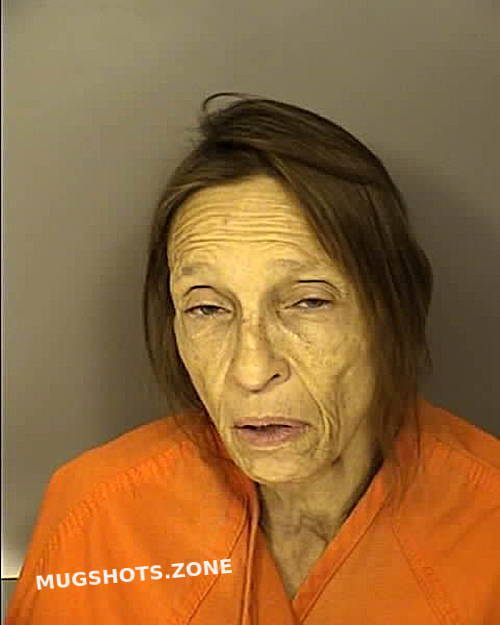 ELSTON AMY JEAN 08/27/2024 - Horry County Mugshots Zone