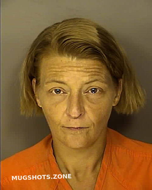 ALTMAN JANE LOUANNE 08/27/2024 - Horry County Mugshots Zone