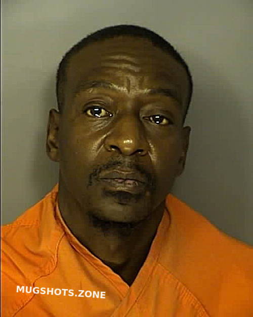 RIGGINS TERRY LEMONT 08/28/2024 - Horry County Mugshots Zone