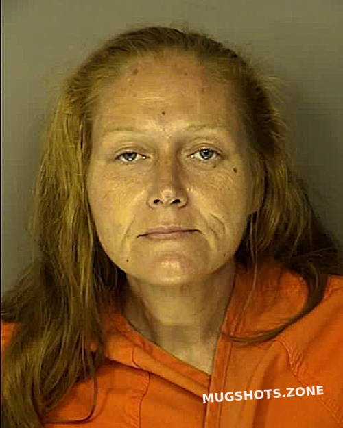 ANDERSON ALICE ANN CASSELMAN 08/29/2024 - Horry County Mugshots Zone