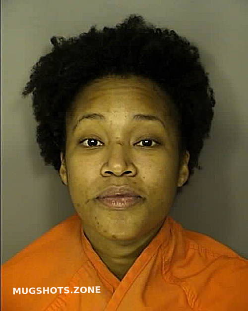JOHNSON SENATRA RENEA 08/29/2024 - Horry County Mugshots Zone