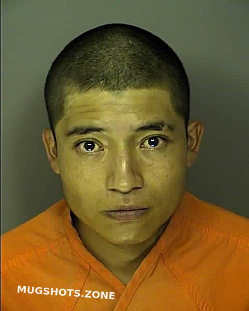 SANCHEZ GARCIA SAUL 09/01/2024 - Horry County Mugshots Zone
