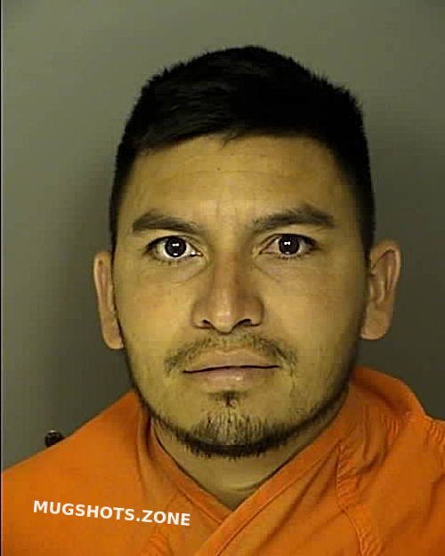 SALVADOR PORTILLO LEONEL ALEJANDRO 09/03/2024 - Horry County Mugshots Zone