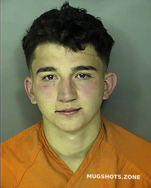 COSAJ ERJON NMN 09/07/2024 - Horry County Mugshots Zone