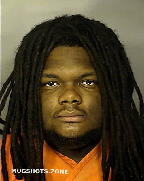 WILLIAMS MICHAEL D'ANGELO 09/11/2024 - Horry County Mugshots Zone