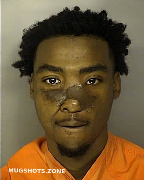 WHITNEY SHARIQ AIJON 09/12/2024 - Horry County Mugshots Zone