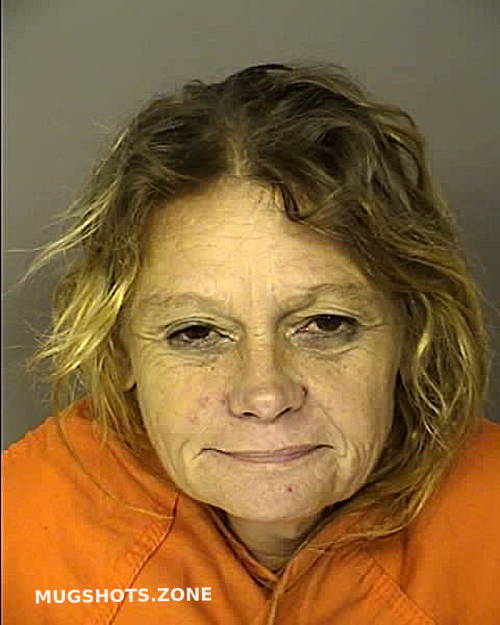 SUGGS DAINA CORRINN 09/12/2024 - Horry County Mugshots Zone